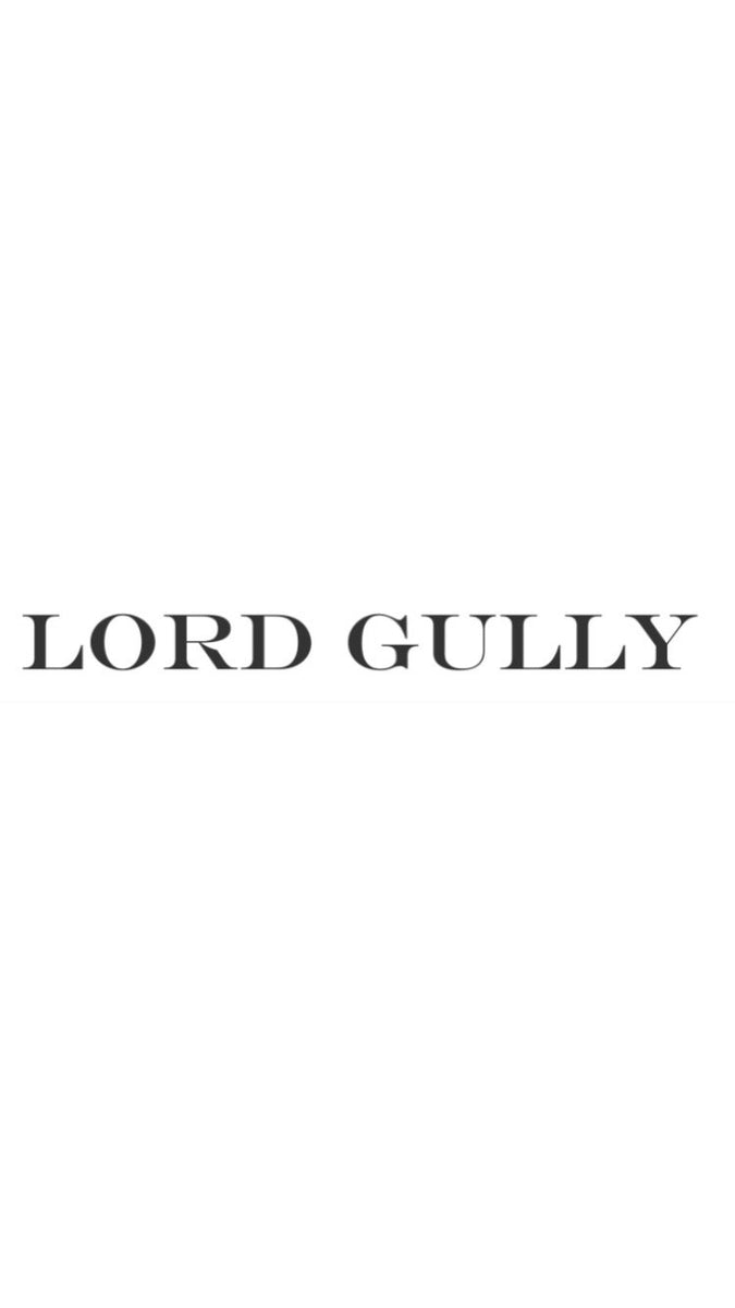 𝖑𝖔𝖗𝖉 𝖌𝖚𝖑𝖑𝖞 – LORD GULLY